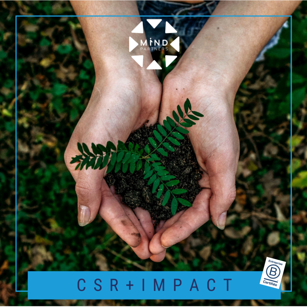 Mind Partners, Executive Search firm